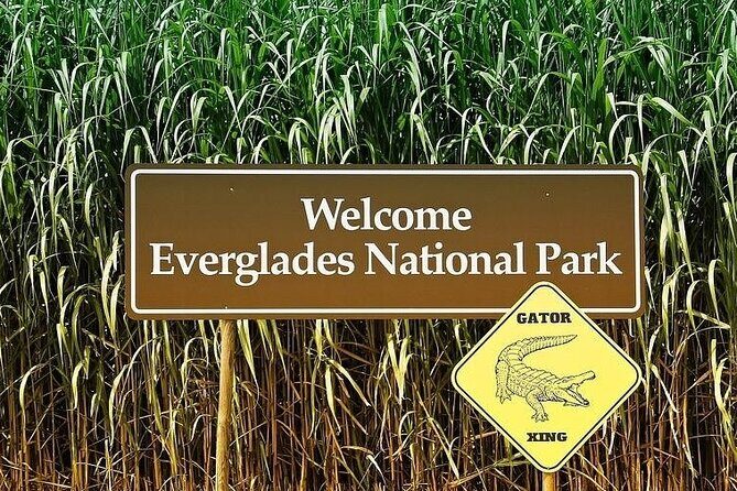 Private Everglades Tour: Explore the Beauty of the Everglades - Why This Tour Stands Out