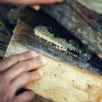 Private Experience in Wildlife Survival School in Bulgaria - Practical Details and Considerations