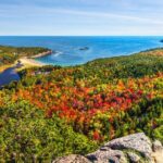 Private Exploration Tour of the Top Spots of Acadia - Who Would Love This Tour?