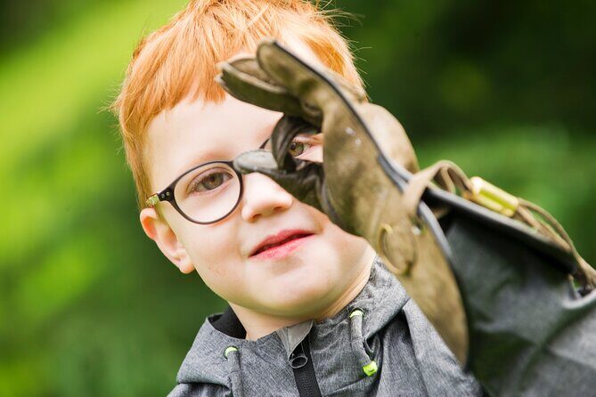 Private Family Bird of Prey Experience in Carlisle - An In-Depth Look at the Experience