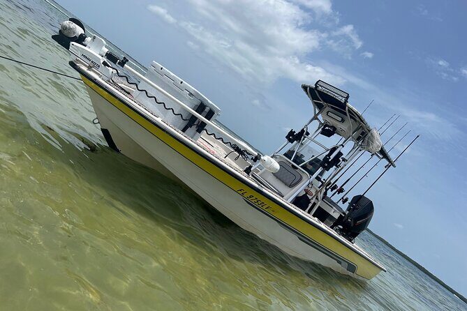 Private Fishing Charter in Tampa - The Value of the Experience