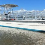 Private Folly Beach Dolphin Cruise (up to 12) - Morris Island and the Lighthouse