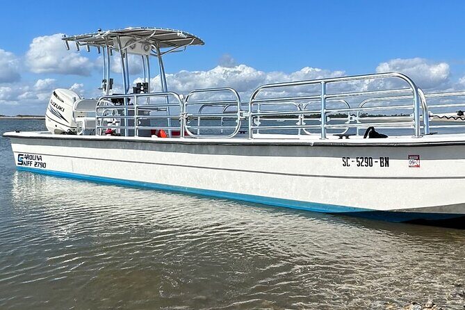 Private Folly Beach Dolphin Cruise (up to 12) - Morris Island and the Lighthouse