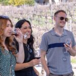 Private Four-Hour Wine Tasting Adventure of Temecula Valley - Analyzing the Price and Value