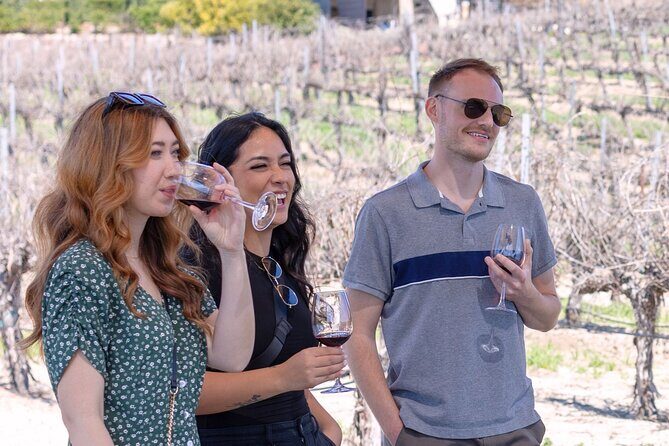 Private Four-Hour Wine Tasting Adventure of Temecula Valley - Analyzing the Price and Value