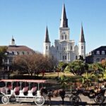 Private French Quarter Walking and City Surrounding Neighborhoods Driving Tour - The Neighborhoods by Car: Exploring Beyond the French Quarter