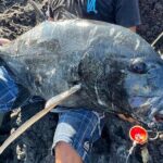 Private Full Day of GT Fishing - Final Thoughts