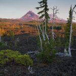 Private Full-Day Photo Tours - The Sum Up
