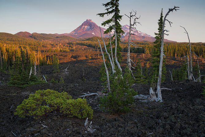 Private Full-Day Photo Tours - The Sum Up