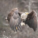 Private Full Day Photography Workshop of Fairbanks - The Sum Up