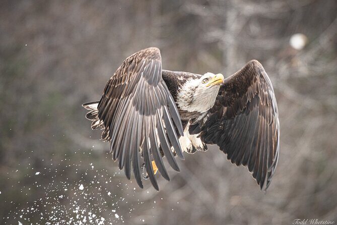 Private Full Day Photography Workshop of Fairbanks - The Sum Up