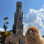 Private Full-Day Tour Bruges & Ghent from Brussels with tastings - What About the Cost?