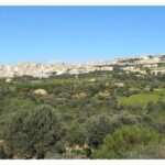 Private Full-Day Tour of Agrigento and Piazza Armerina - Transportation: Comfort and Convenience