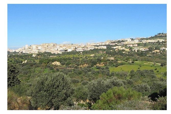Private Full-Day Tour of Agrigento and Piazza Armerina - Transportation: Comfort and Convenience