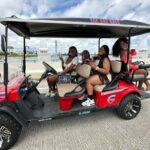 Private Golf Cart Tours in Miami South Beach and Venetian Islands - Who Should Consider This Tour?