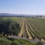 Private Group Wine Tour of Napa and Sonoma - Practicalities, Pricing, and Value
