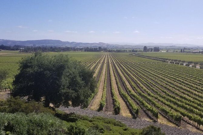 Private Group Wine Tour of Napa and Sonoma - Practicalities, Pricing, and Value
