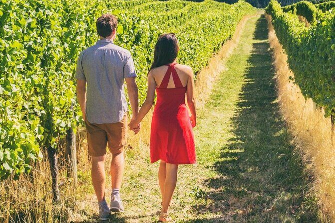 Private Group Wine Tours in Napa Valley - What Do Travelers Say?