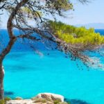 (Private group)Swimming and relax in beautiful beaches. - The Value of This Tour in Context