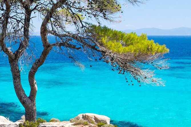 (Private group)Swimming and relax in beautiful beaches. - The Value of This Tour in Context