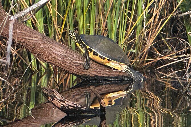 Private Guided Everglades Kayak Tour - What’s Included?