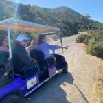 Private Guided Golf Cart Tour of Avalon - The Experience with Real Reviews