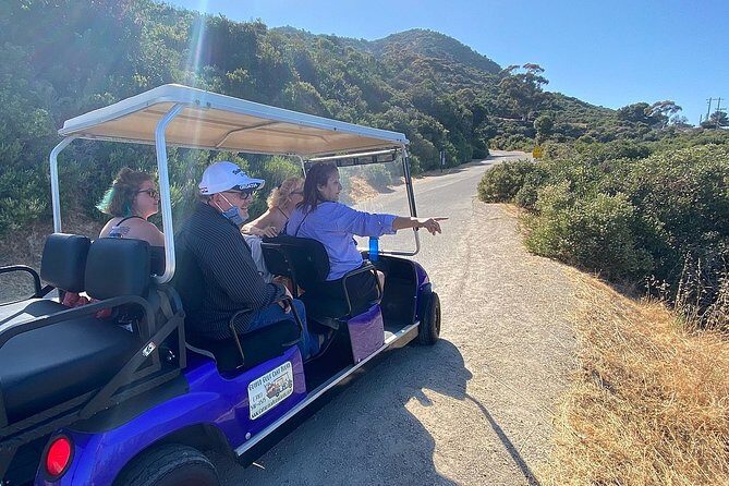 Private Guided Golf Cart Tour of Avalon - The Experience with Real Reviews