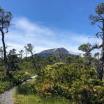 Private Guided Hike in Sitka, Alaska - The Itinerary: What to Expect