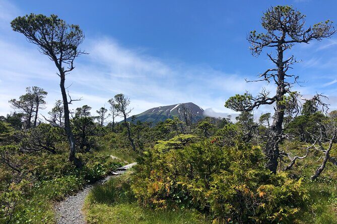 Private Guided Hike in Sitka, Alaska - The Itinerary: What to Expect