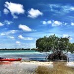 Private Guided Kayak or SUP Eco Adventure - Who Should Consider This Tour?
