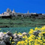 Private guided Malta shore excursion with a professional guide and transport - Is This Tour Right for You?