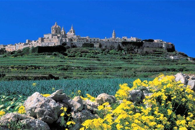 Private guided Malta shore excursion with a professional guide and transport - Is This Tour Right for You?