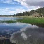 Private Guided Mountain Bike Lesson in San Diego Mountains - Exploring San Diego’s Mountain Biking Scene