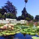 Private, Guided Sightseeing Tour of Los Angeles - What Travelers Say