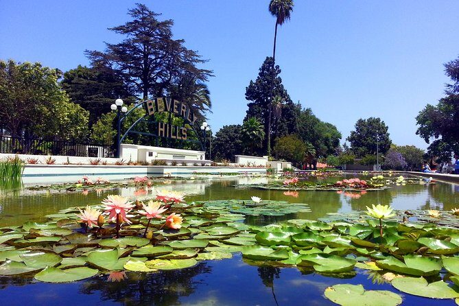 Private, Guided Sightseeing Tour of Los Angeles - What Travelers Say