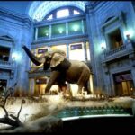 Private Guided Tour of The Natural History Museum - Why Is This Tour a Great Choice?