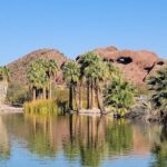 Private Guided Yoga Session At Papago Park - The Itinerary: What to Expect