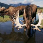 Private Half-Day Nature Tour from Anchorage - The Experience: What You Can Expect