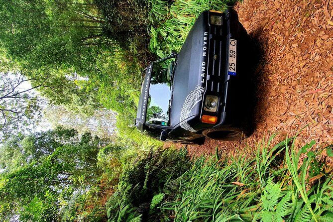 Private Half Day Off Road Tour in Madeira - The Value of a Private, Off-Road Madeira Tour