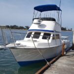 Private Half-Day San Diego Fishing Trip for up to 4 People - Summing Up: Who Will Love This Experience?