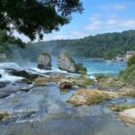 Private Half-Day Tour to the Rhine Falls with Pick-up at Hotel - What Travelers Are Saying