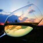 Private Half Day Wine Tasting tour: Road Of The Doges - The Itinerary: From Venice to Vineyards