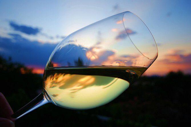 Private Half Day Wine Tasting tour: Road Of The Doges - The Itinerary: From Venice to Vineyards