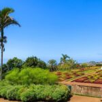 Private Halfday Madeira Garden Tour - Final thoughts