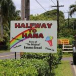 Private Halfway to Hana Tour - In-Depth Look at the Itinerary