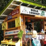 Private Hana, Ocean, Turtle Town, Winery Tour of Maui - In-Depth Look at the Stops and Experience