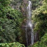Private Hana Waterfalls Tour - Practical Considerations