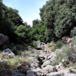 PRIVATE Hiking Walking GORGE nearby Hersonissos CRETE - Transportation and Duration
