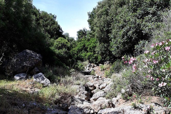 PRIVATE Hiking Walking GORGE nearby Hersonissos CRETE - Transportation and Duration