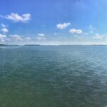Private Hilton Head Dolphin Tour with Waterfront Dining Stop - FAQ
